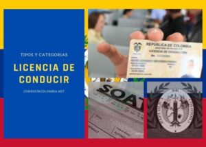 Licencia de conducir: Tipos, Categorías y Costos 《 2023